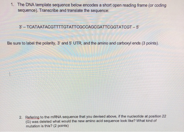 Solved 1. The DNA template sequence below encodes a short | Chegg.com