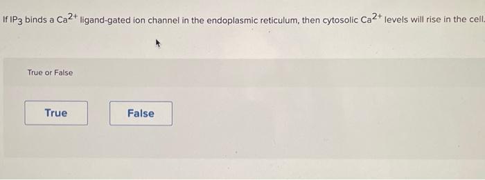 Solved If IP3 binds a Ca2+ ligand-gated ion channel in the | Chegg.com
