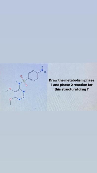 Draw the metabolism phase 1 and phase 2 reaction for | Chegg.com