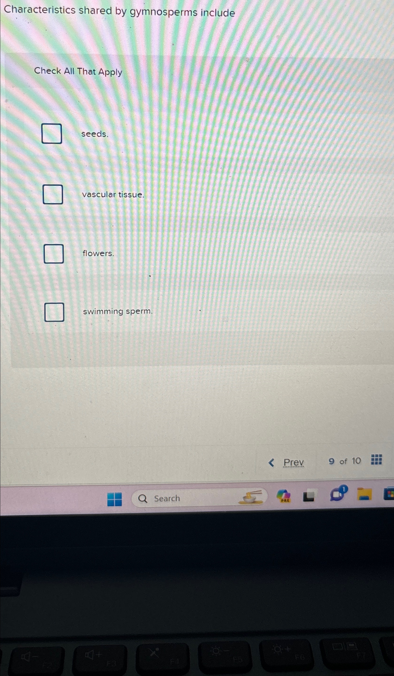 Solved Characteristics shared by gymnosperms includeCheck | Chegg.com
