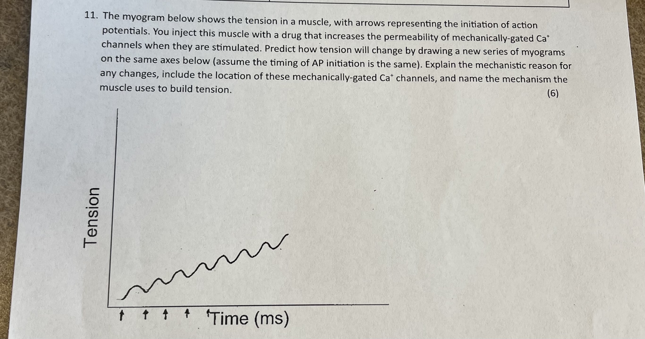 Solved Read the question thoroughly and answer it | Chegg.com