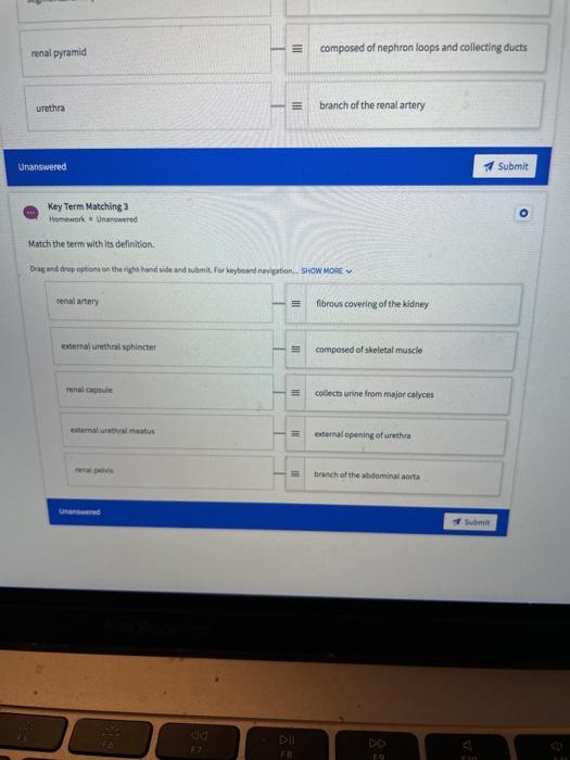 Solved 05 answered Key Term Matching 1 Homework. Unanswered | Chegg.com