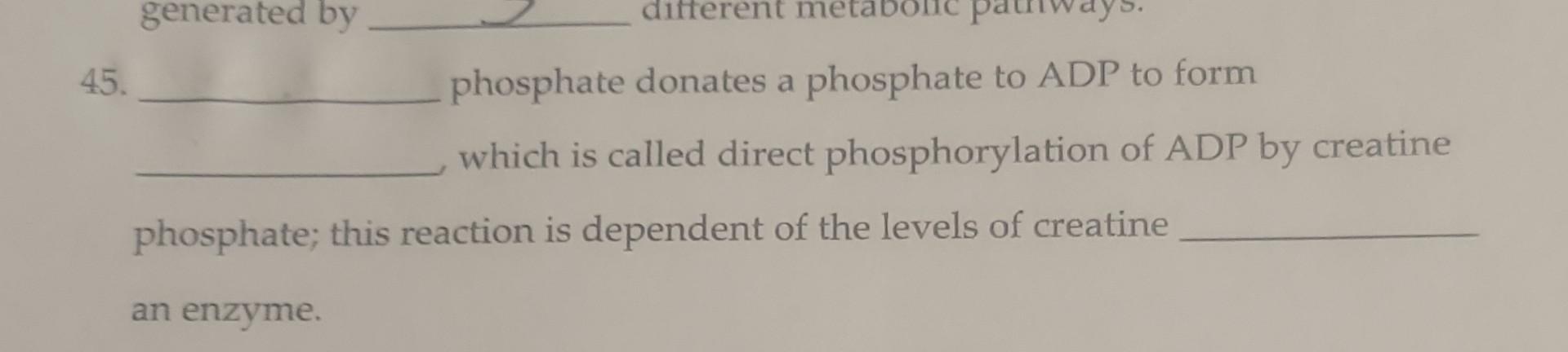 Solved 45. phosphate donates a phosphate to ADP to form | Chegg.com