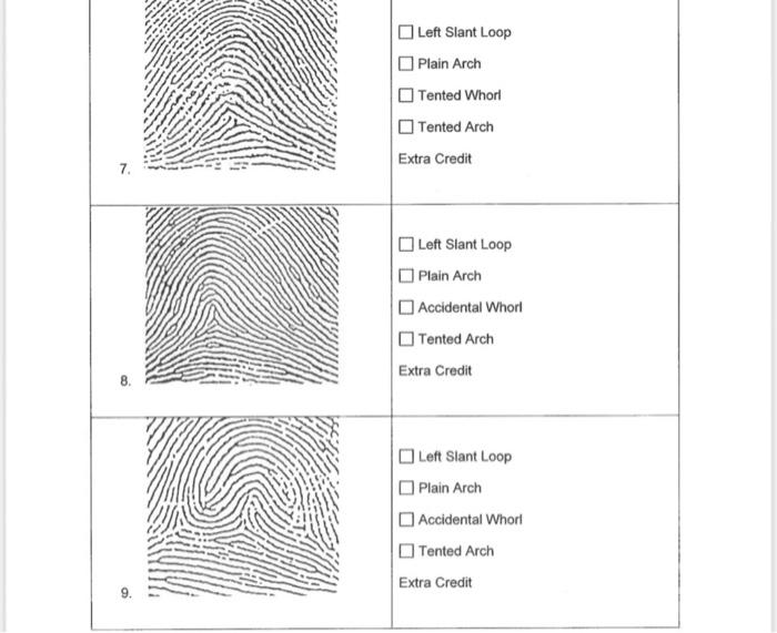 Solved Left Slant Loop Plain Arch Tented Whort Tented Arch | Chegg.com