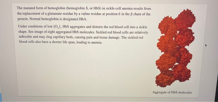 Solved The mutated form of hemoglobin (hemoglobin S, or HbS) | Chegg.com