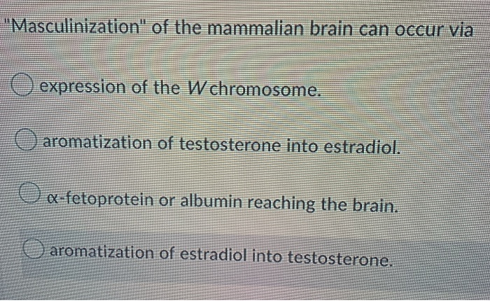 Solved "Masculinization" of the mammalian brain can occur | Chegg.com