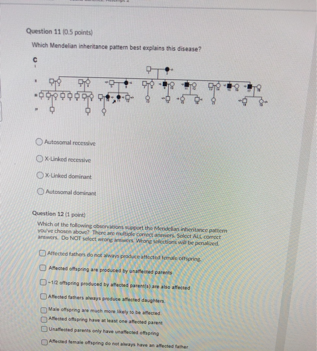 Solved Question 11 (0.5 points) Which Mendelian inheritance | Chegg.com