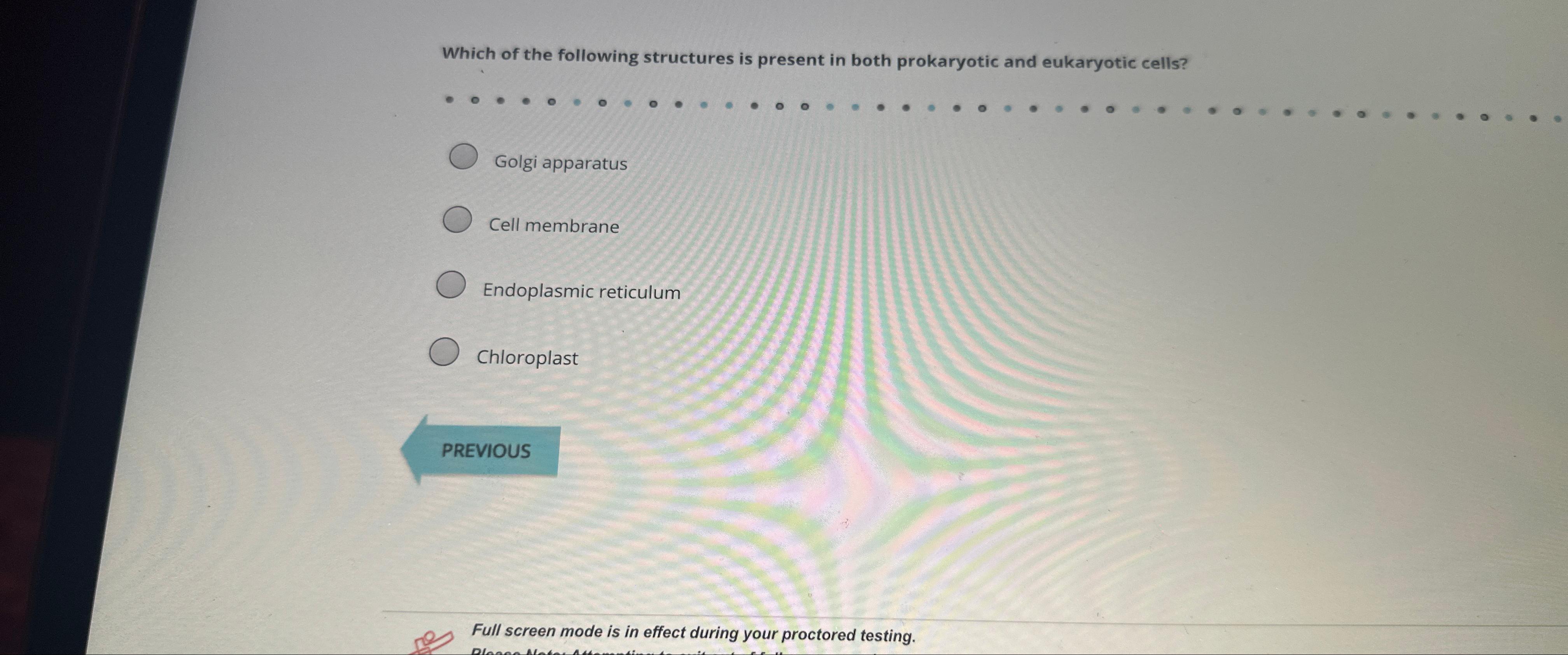 Solved Which of the following structures is present in both | Chegg.com