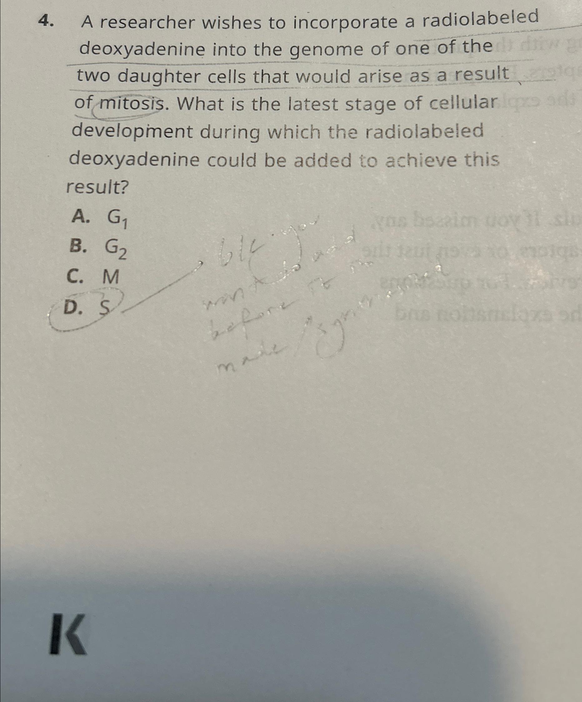 Solved A researcher wishes to incorporate a radiolabeled | Chegg.com