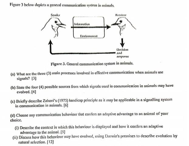 Solved Figure 3 below depicts a general communication system | Chegg.com