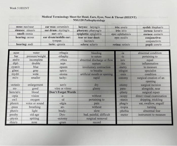 Solved -define the following terms using their | Chegg.com