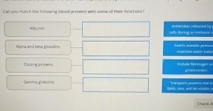 Solved Can you match the following wood proteins with some | Chegg.com
