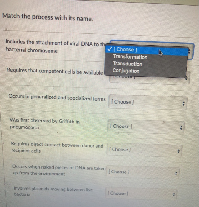 Solved Match the process with its name. Includes the | Chegg.com