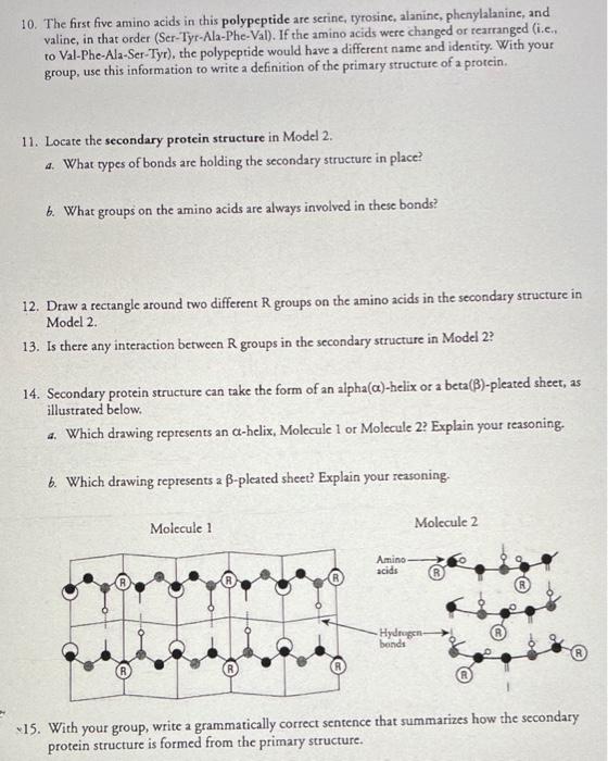 Solved 10. The first five amino acids in this polypeptide | Chegg.com