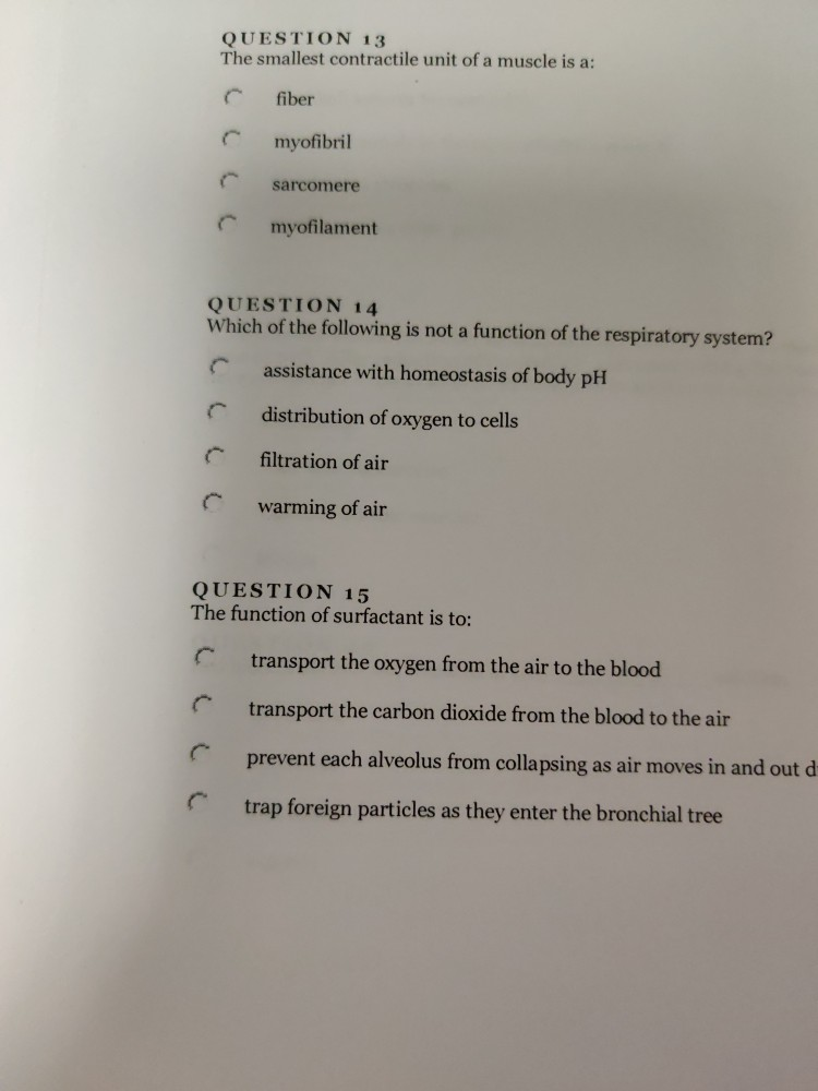 Solved QUESTION 13 The smallest contractile unit of a muscle | Chegg.com