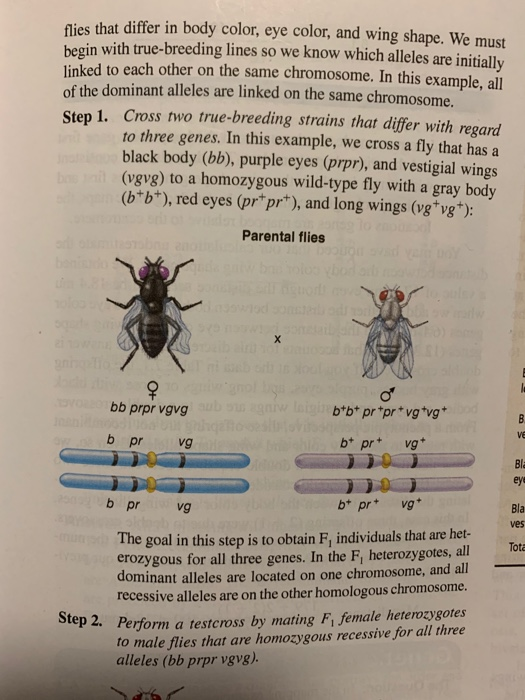 work through the Three-Factor Crosses Can Be Used to | Chegg.com