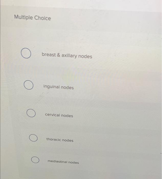 Solved Which structure is highlighted? Multiple Choice O | Chegg.com