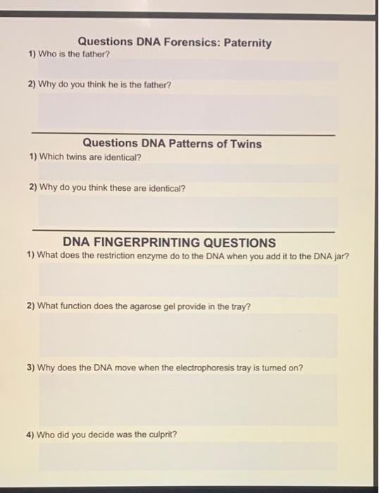 Questions DNA Forensics: Paternity 1) Who is the | Chegg.com