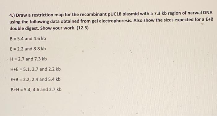 Solved 4.) Draw a restriction map for the recombinant pUC18 | Chegg.com