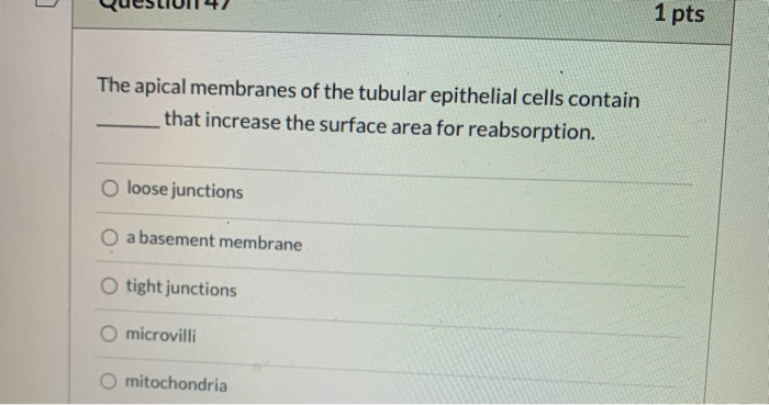 Solved 1 pts The apical membranes of the tubular epithelial | Chegg.com