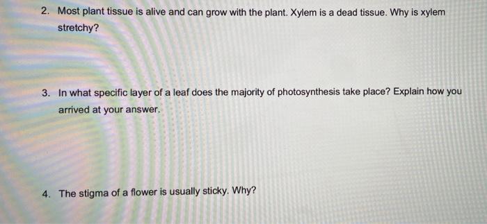 Solved 2. Most plant tissue is alive and can grow with the | Chegg.com