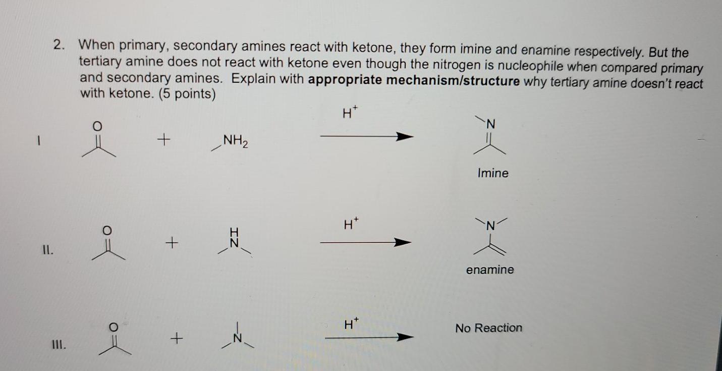 Solved 2. When primary, secondary amines react with ketone, | Chegg.com
