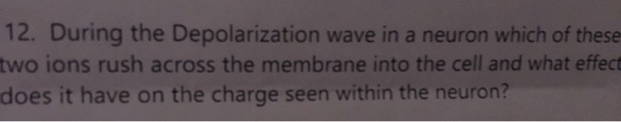 Solved 3. As a species why do we present with different | Chegg.com