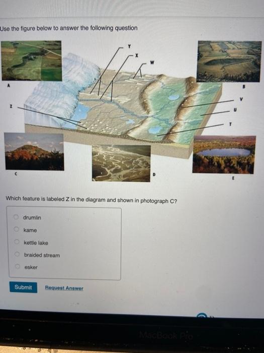 Solved Use the figure below to answer the following question | Chegg.com