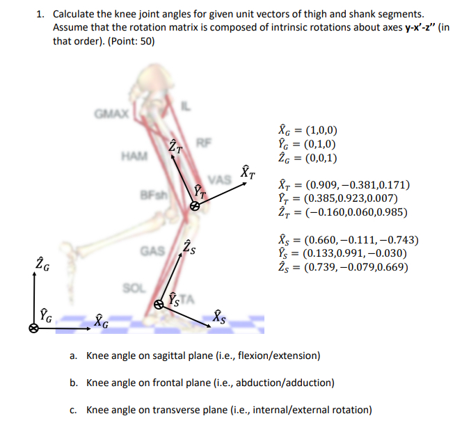Solved Calculate the knee joint angles for given unit | Chegg.com