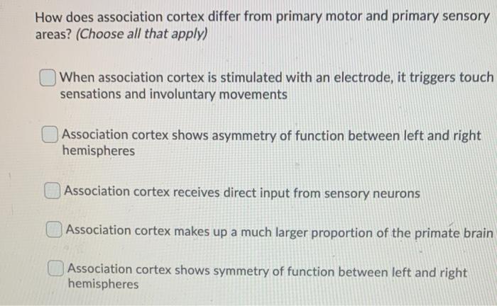 Solved How does association cortex differ from primary motor | Chegg.com