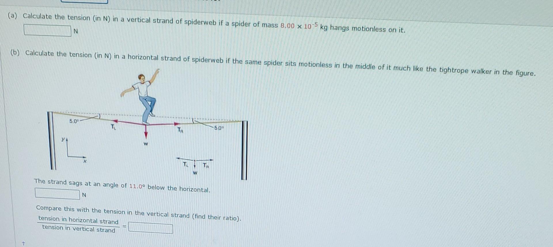 Solved What Net External Force In N Is Exerted On A