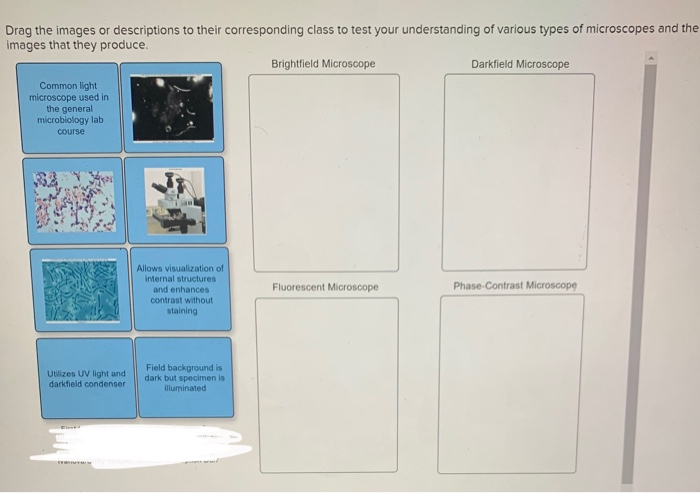 Solved Drag the images or descriptions to their | Chegg.com
