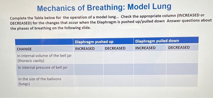 Solved Mechanics of Breathing: Model Lung Complete the Table | Chegg.com