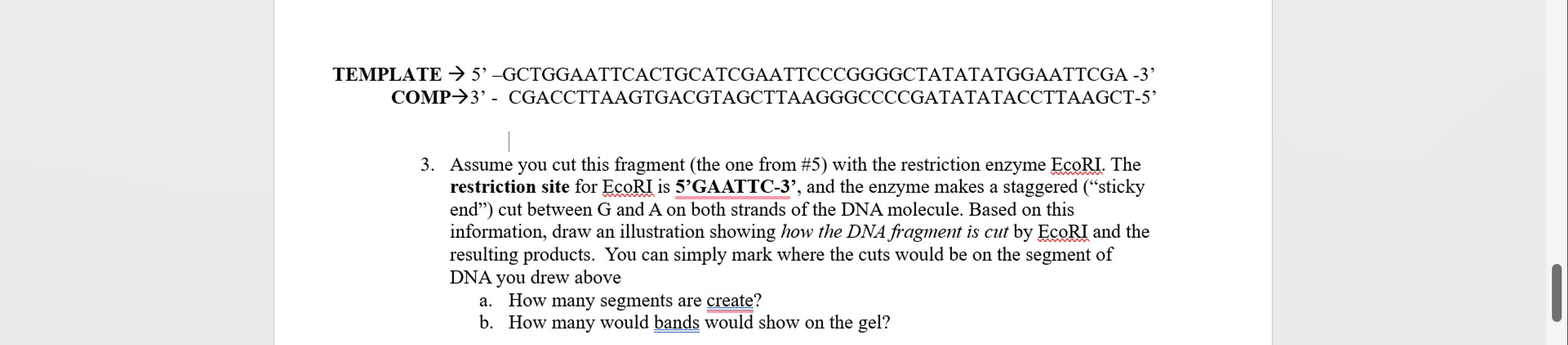Solved TEMPLATE | Chegg.com