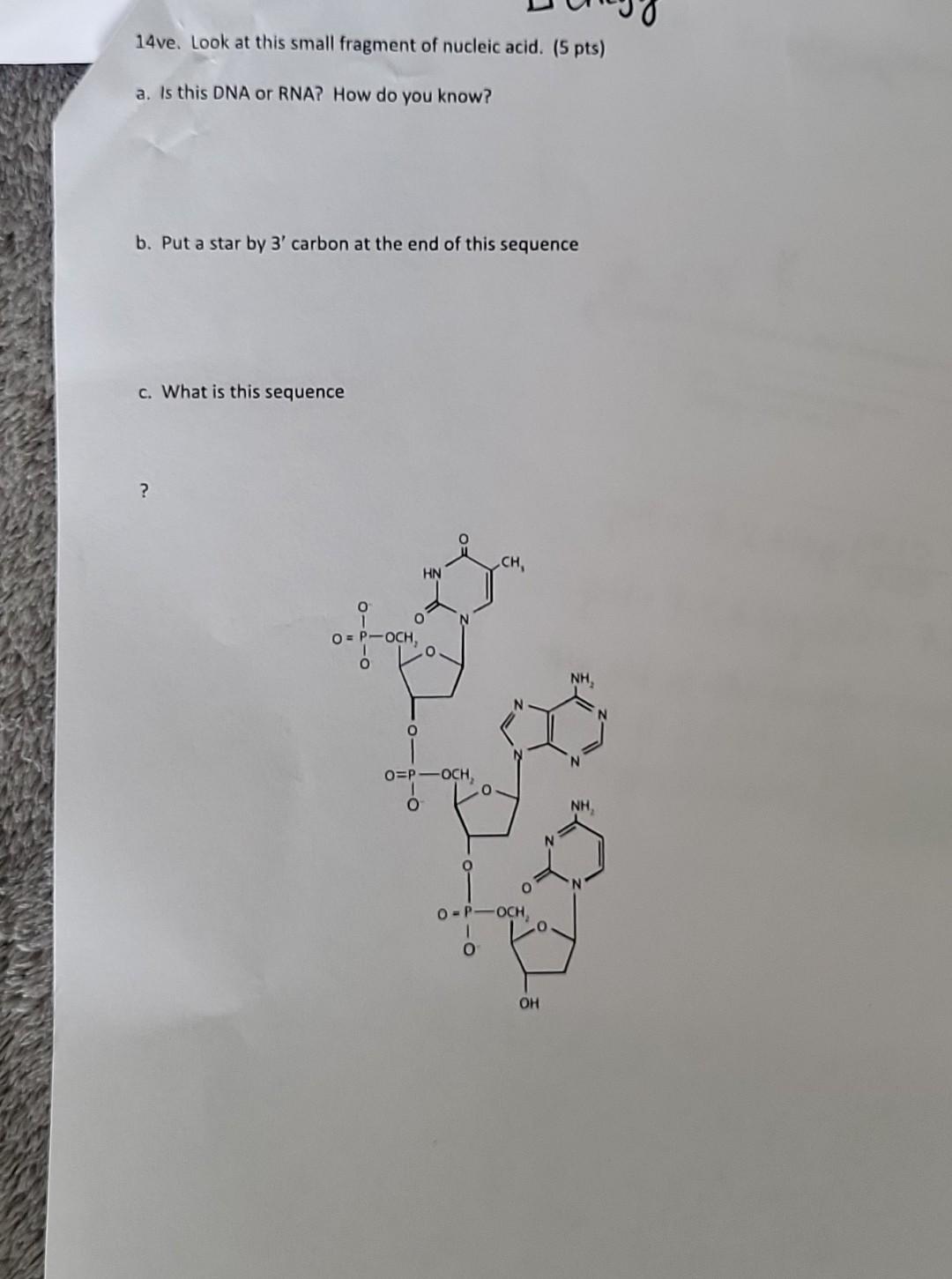 Solved a. Is this DNA or RNA? How do you know? b. Put a star | Chegg.com