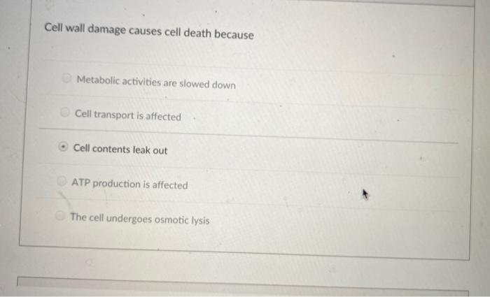Solved Cell wall damage causes cell death because Metabolic | Chegg.com