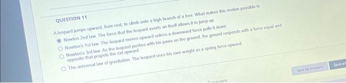 Solved QUESTION 11 Aleopard jumps upwatd. trom rees, 10 dimb | Chegg.com