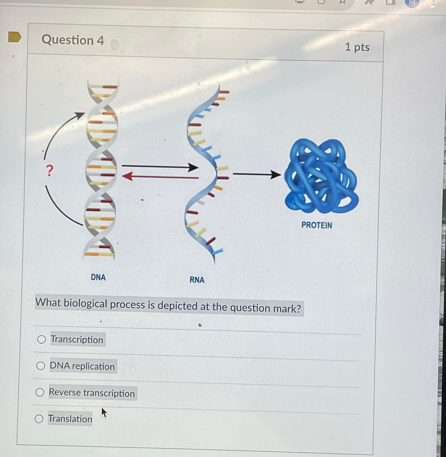 Solved Question 41 ﻿ptsWhat biological process is depicted | Chegg.com