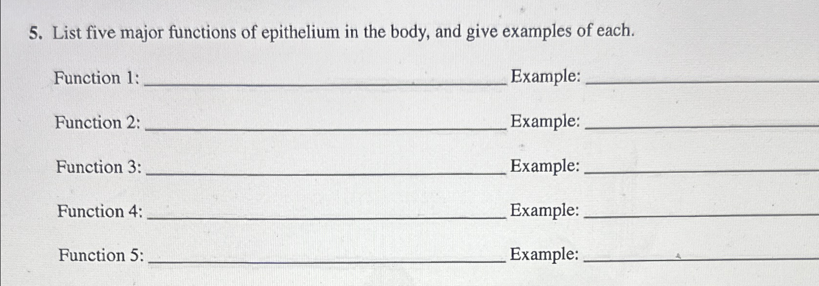 Solved List five major functions of epithelium in the body, | Chegg.com