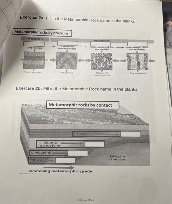 Solved Exercise 2a: Fill in the Metamorphic Rock name in the | Chegg.com