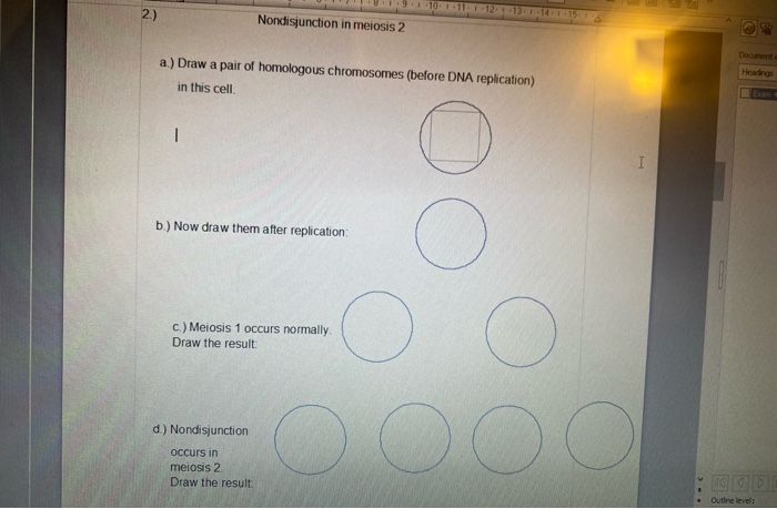 2.) Nondisjunction in meiosis 2 Document a.) Draw a | Chegg.com