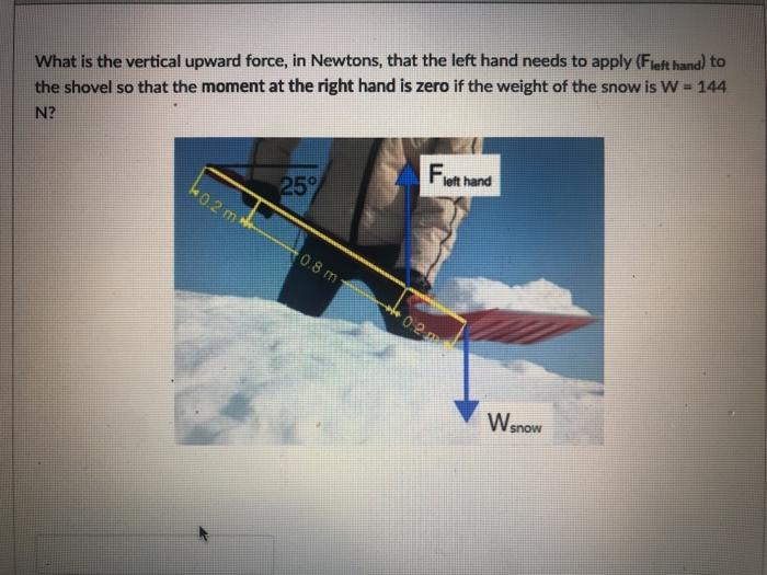 Solved What is the vertical upward force, in Newtons, that | Chegg.com