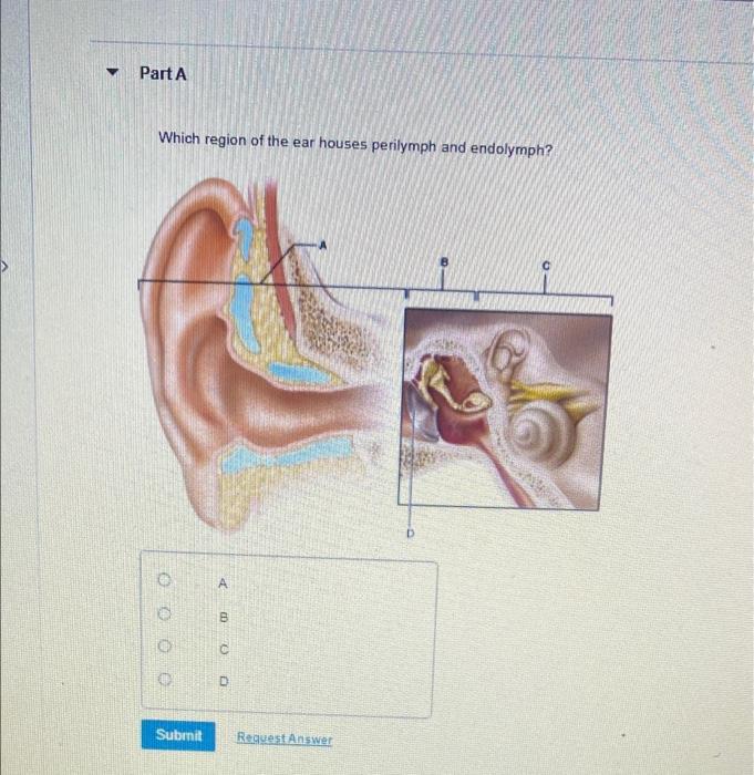 Solved Part A Which region of the ear houses perilymph and | Chegg.com
