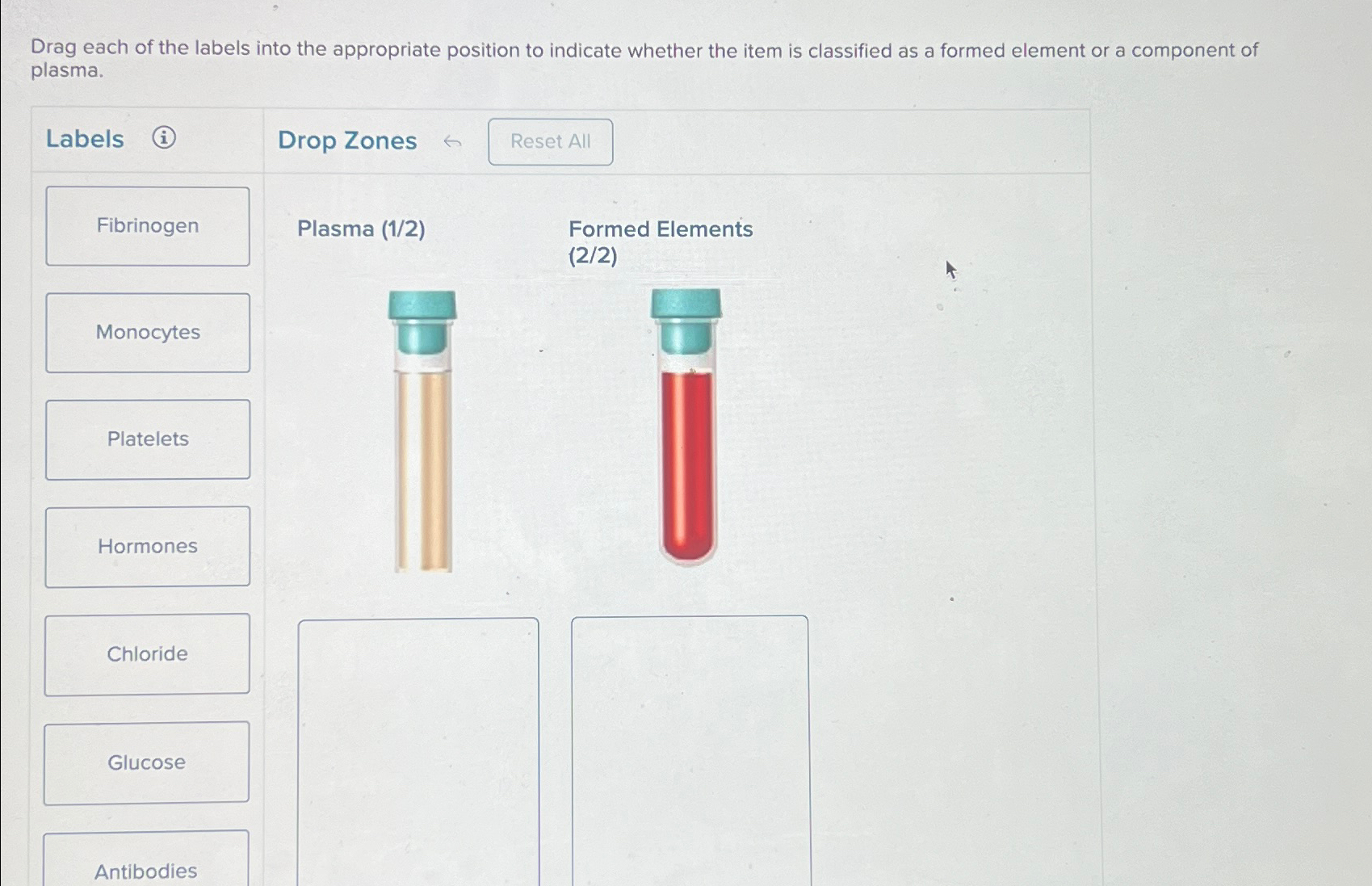 Solved Drag each of the labels into the appropriate position | Chegg.com