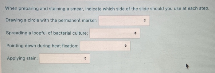 Solved When preparing and staining a smear, indicate which | Chegg.com