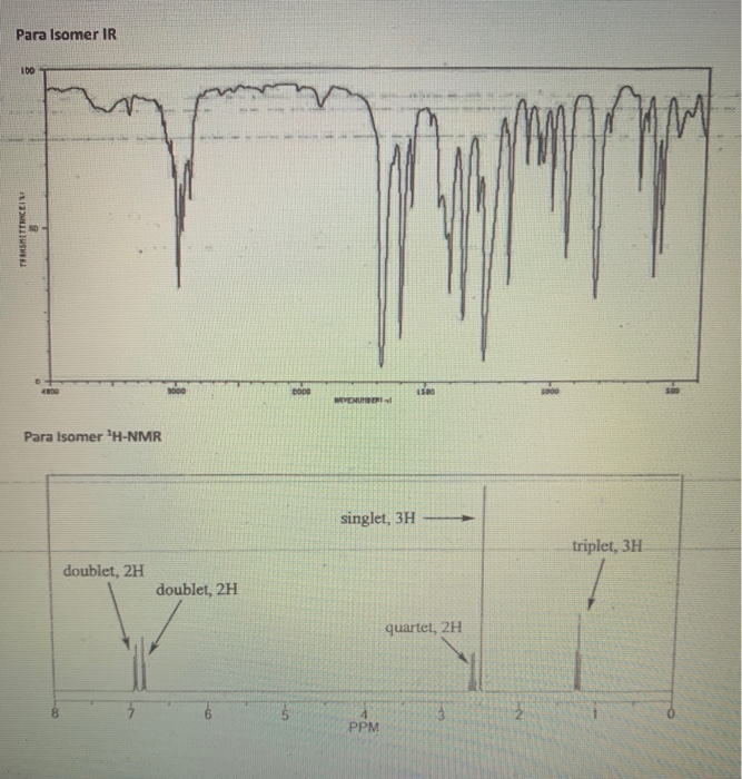 Solved Do a complete interpretation of the IR and NMR | Chegg.com