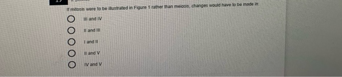 Solved Dr. John Doebley used transmission genetics to | Chegg.com