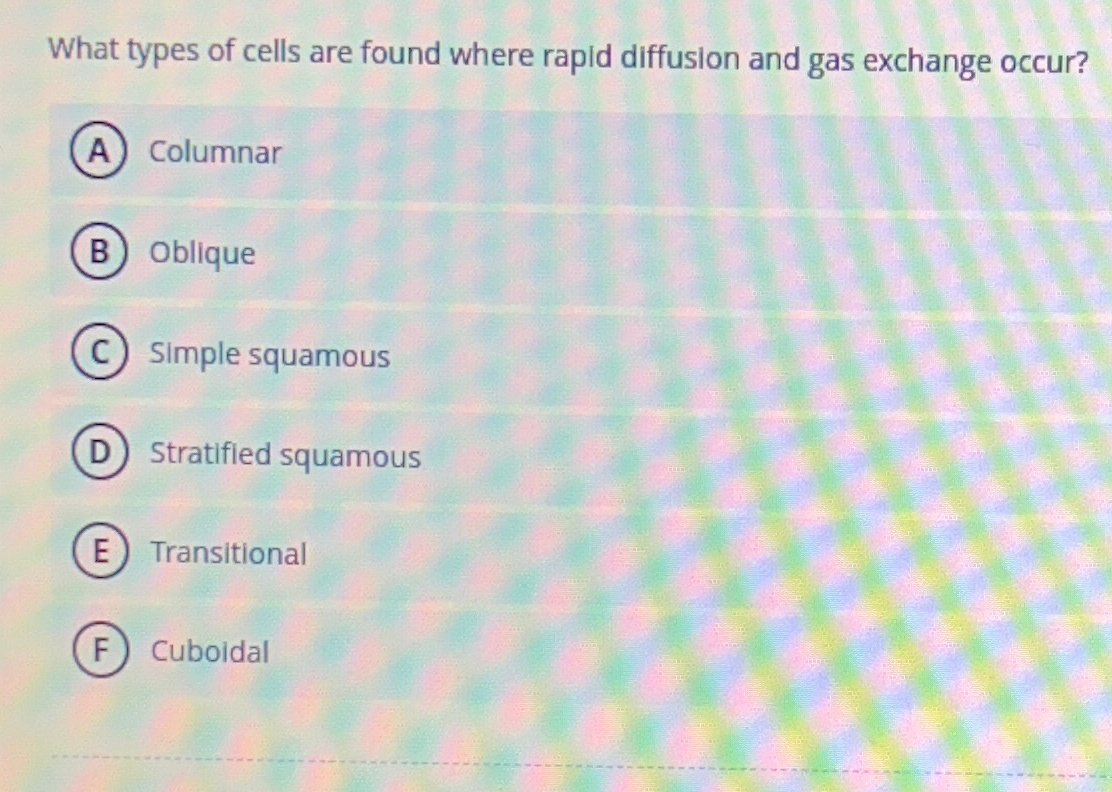 Solved What types of cells are found where rapid diffusion | Chegg.com