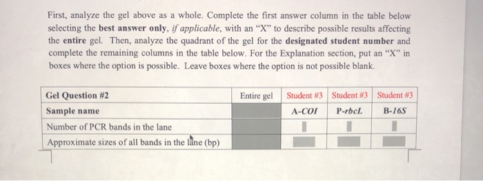 Solved Gel Question #2- Student #3: Use the following gel | Chegg.com