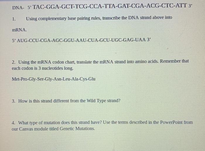 Solved DNA- 5. TAC-GGA-GCT-TCG-CCA-TTA-GAT-CGA-ACG-CTC-ATT 3 | Chegg.com